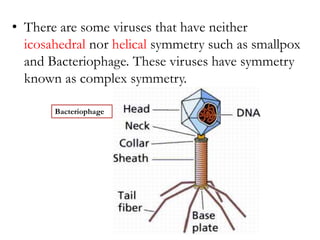 10- Introduction to Viruses Classification, morphology and structure ...