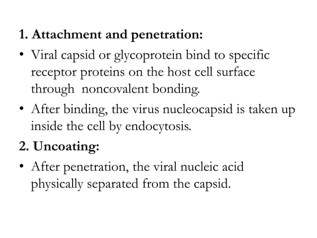 10- Introduction to Viruses Classification, morphology and structure, Replication and ...