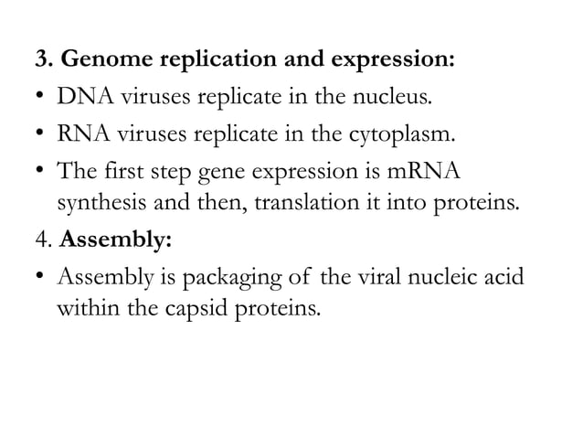 10- Introduction to Viruses Classification, morphology and structure, Replication and ...