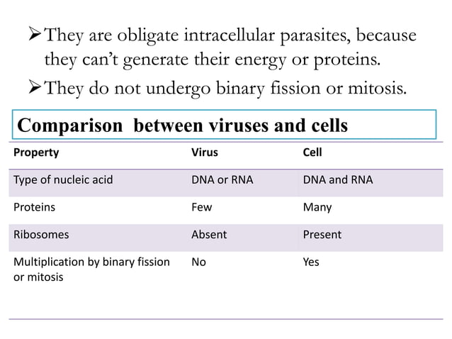 10- Introduction to Viruses Classification, morphology and structure ...