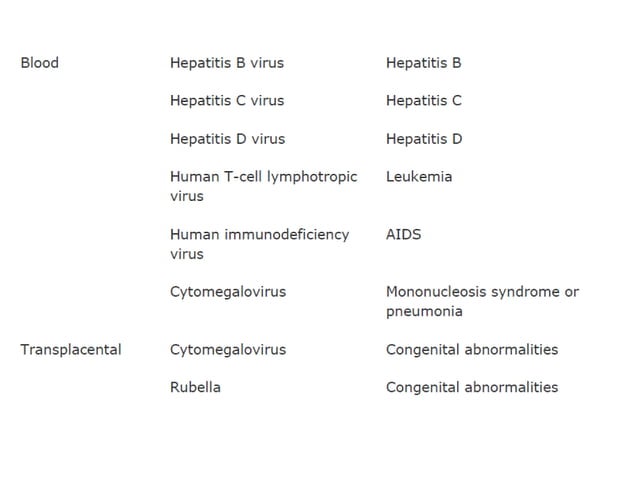 10- Introduction to Viruses Classification, morphology and structure, Replication and ...