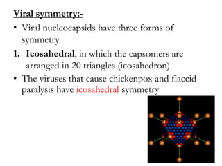 10- Introduction to Viruses Classification, morphology and structure ...