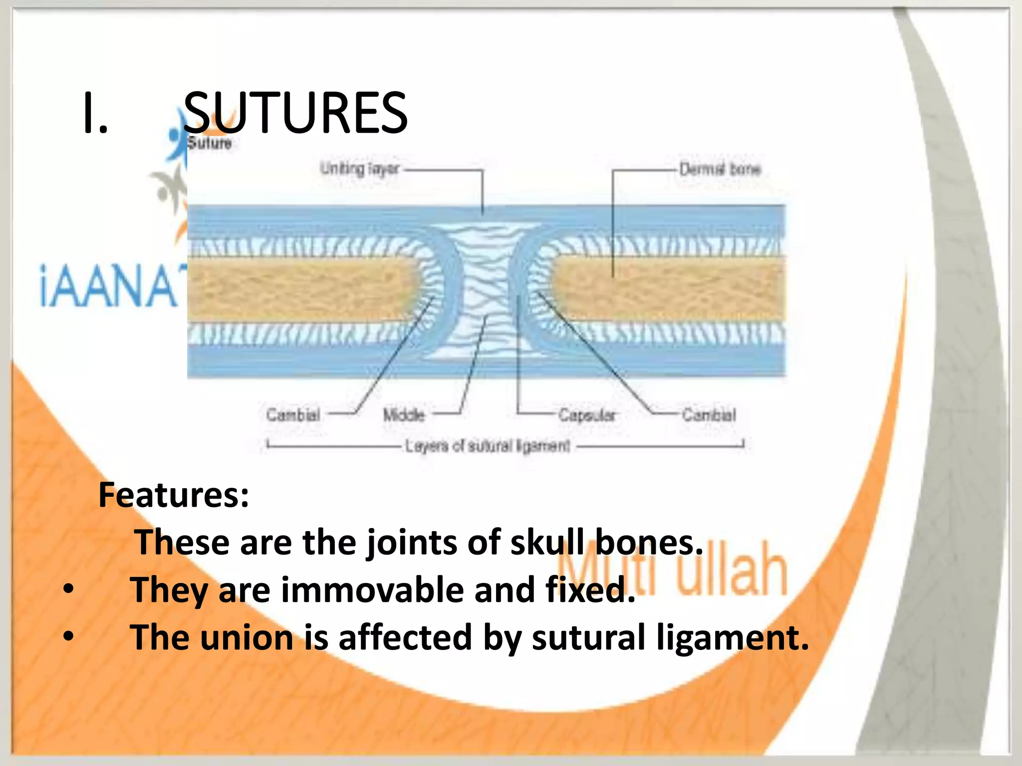 classification of joints and characteristics of each type joint | PPTX