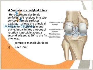 Condyloid Joint Knee