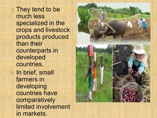 Agriculture and Development | PPTX