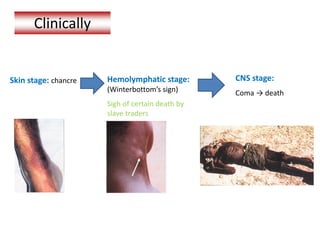 A lecture Leish & trypanosoma Parasites.pdf