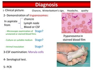 A lecture Leish & trypanosoma Parasites.pdf