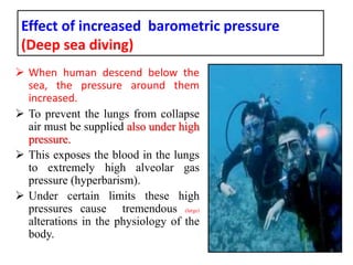 10- Low and high pressures (1).ppt