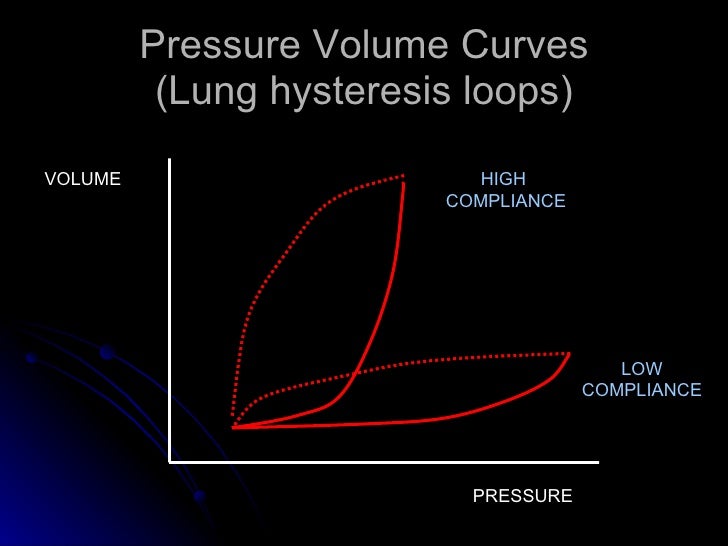 10. Lung Physiology And Image