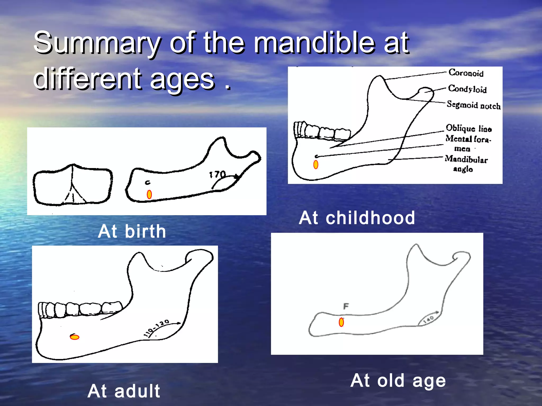 10 mandible at different ages | PPT