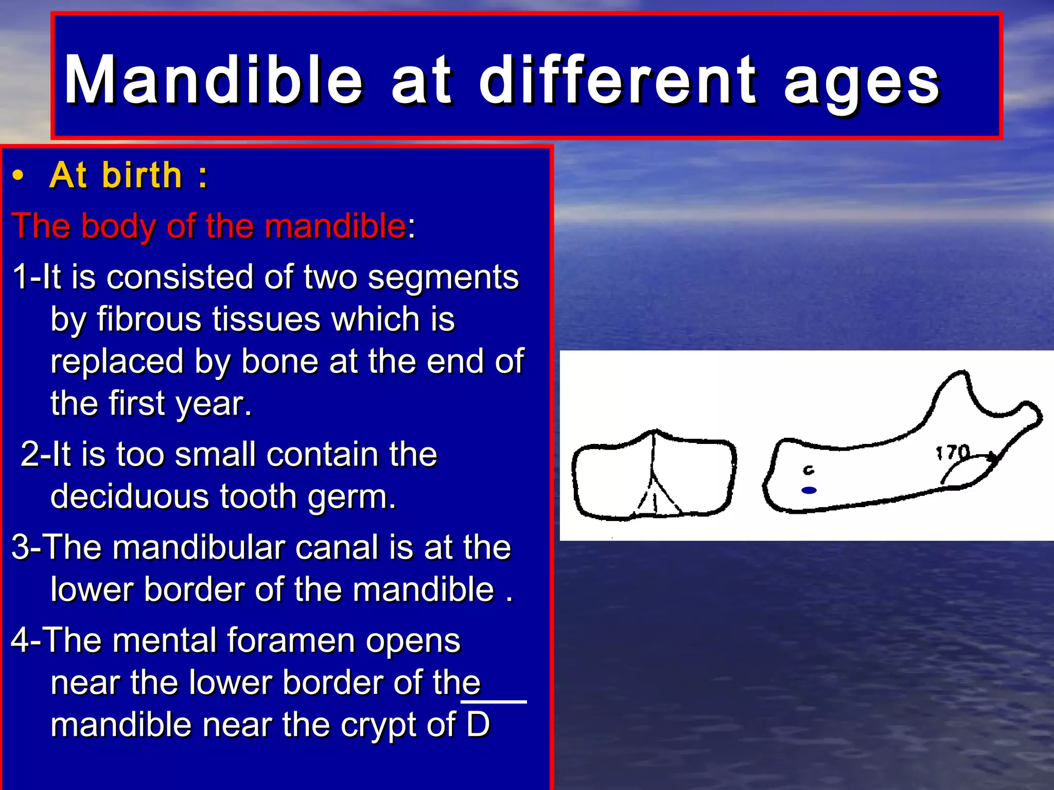 10 mandible at different ages | PPT