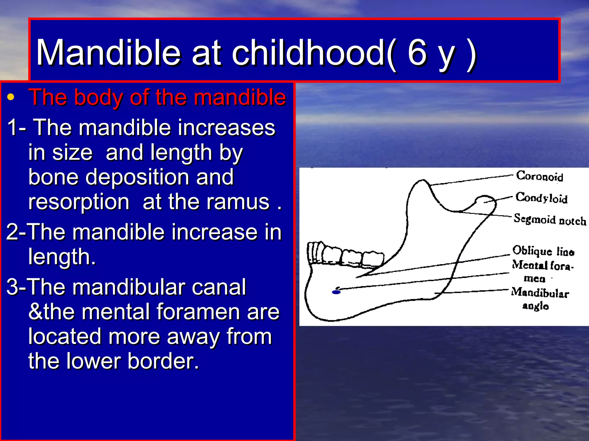 10 mandible at different ages | PPT