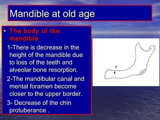 10 mandible at different ages | PPT