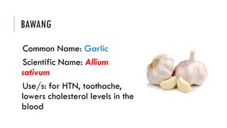 10-Medicinal-Plants.pdf