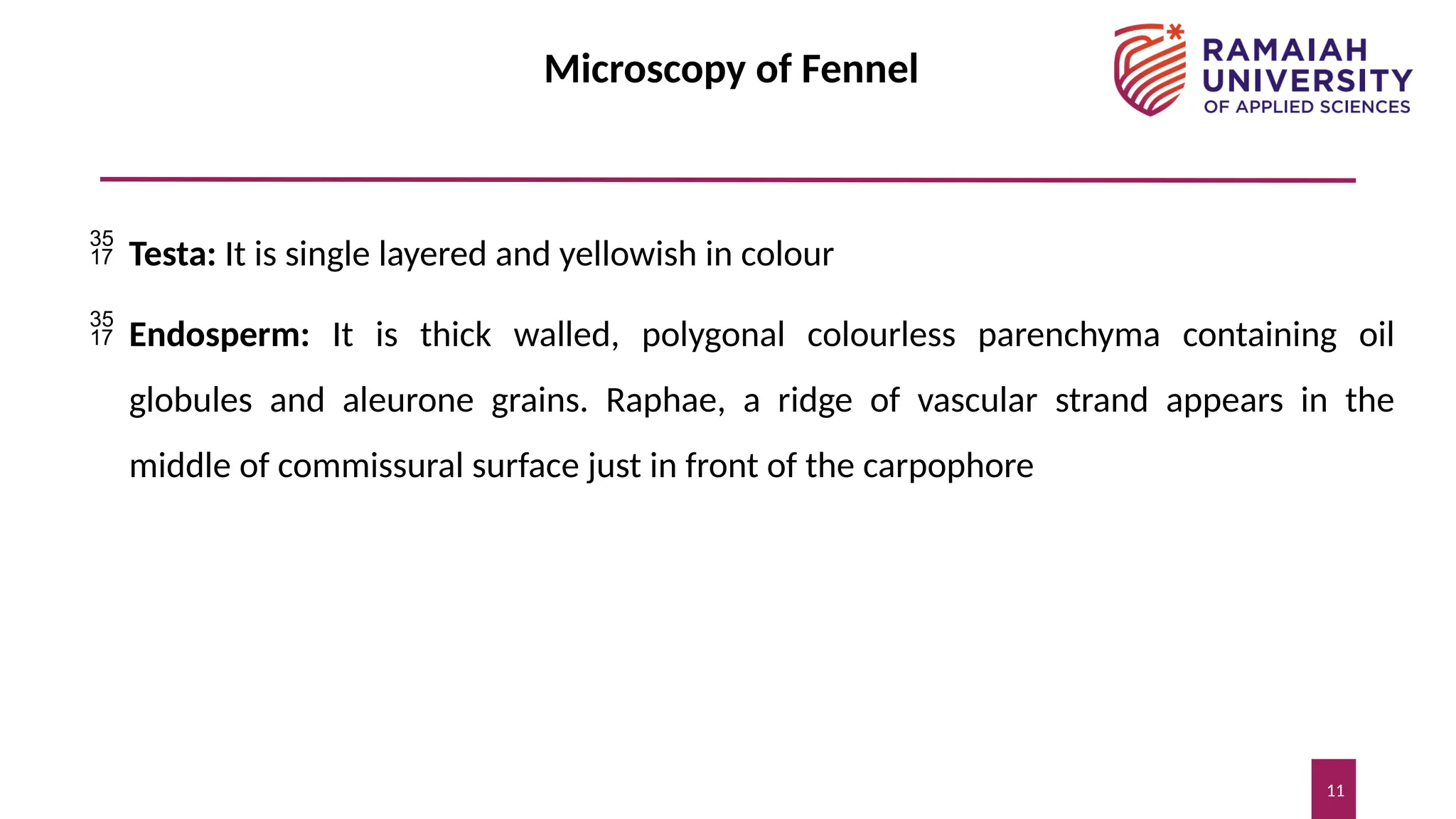 10-morphology and microscopy of Fennel .pptx