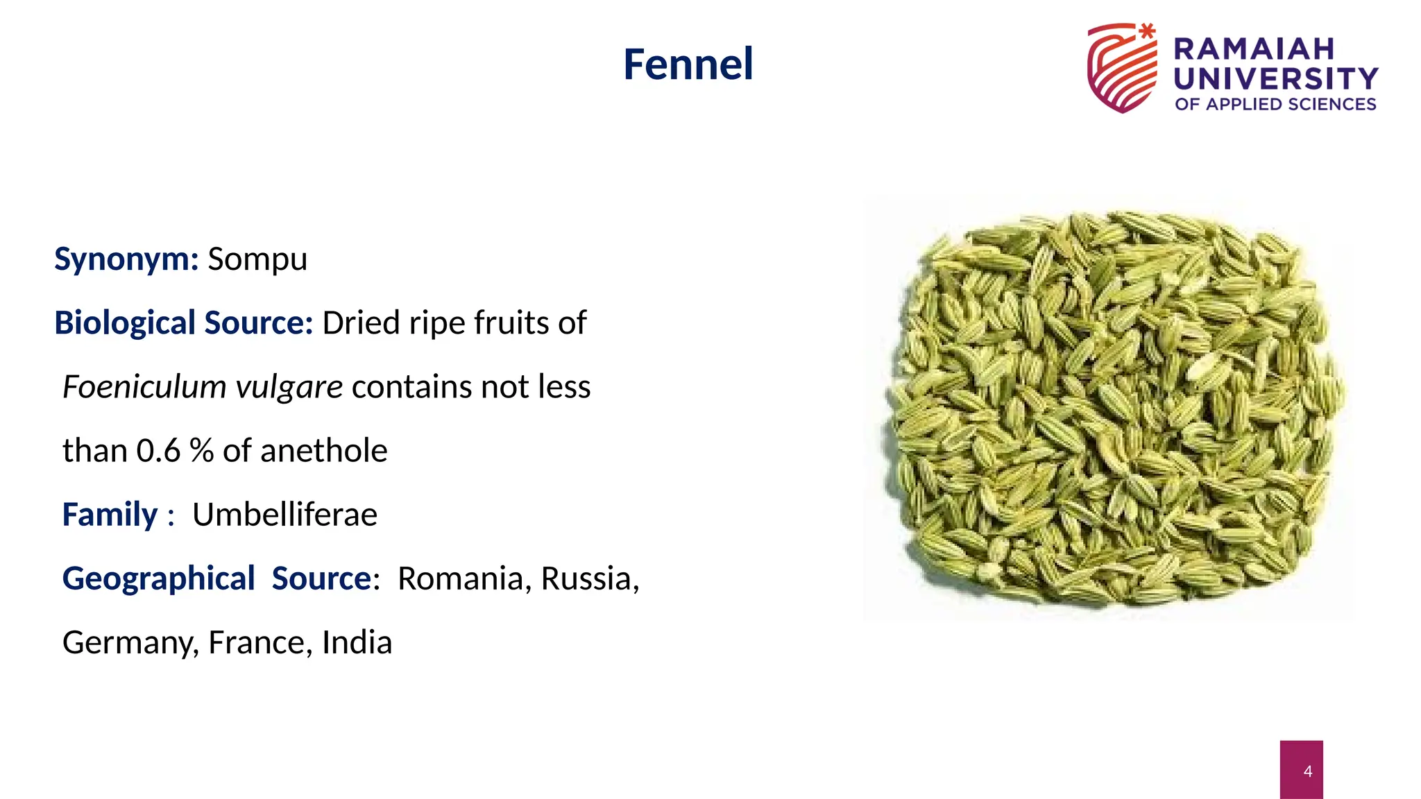 10-morphology and microscopy of Fennel .pptx