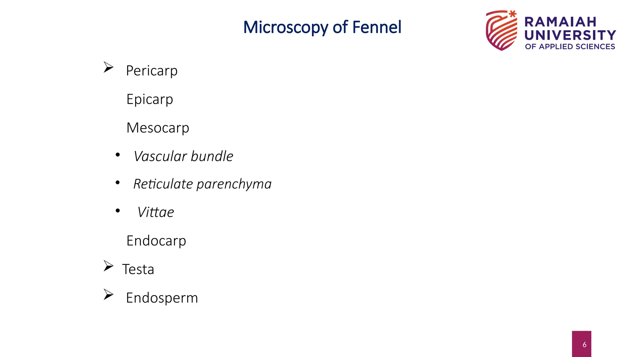 10-morphology and microscopy of Fennel .pptx