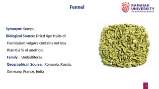10-morphology and microscopy of Fennel .pptx