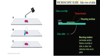 10 - Mounting Media.pdf