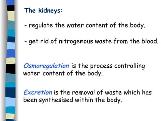 10. Osmoregulation | PPT