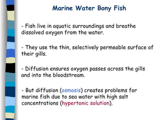 10. Osmoregulation | PPT