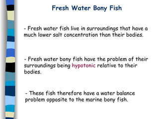10. Osmoregulation | PPT
