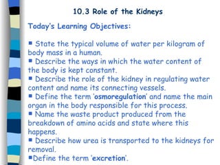 10. Osmoregulation | PPT