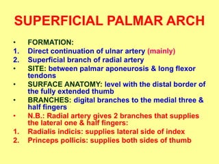 10-Palm of hand.ppt