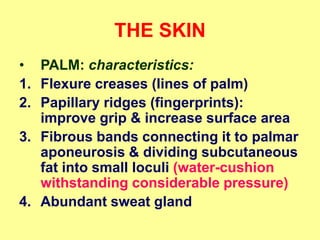 10-Palm of hand.ppt