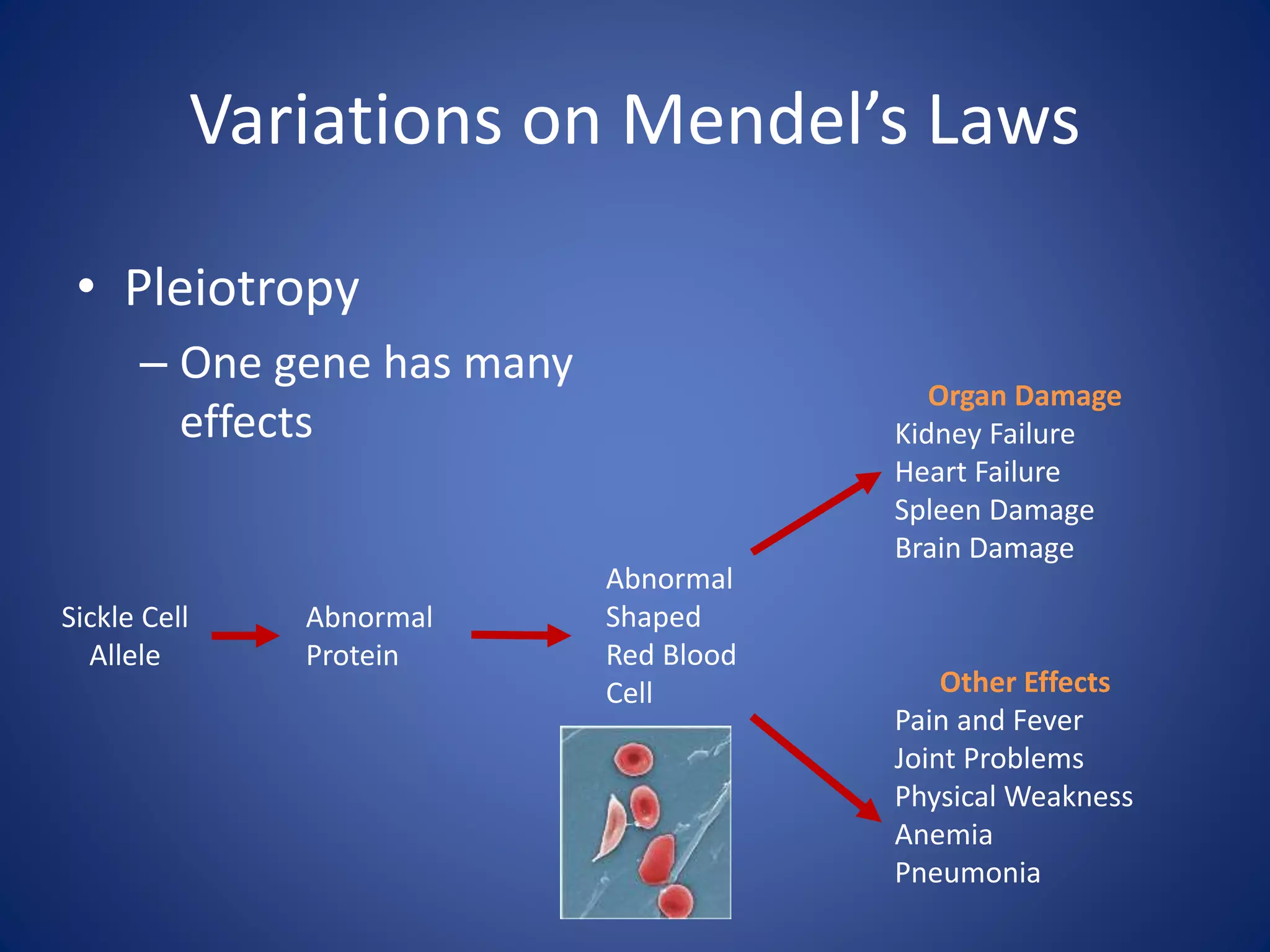 Patterns of Inheritance | PPTX