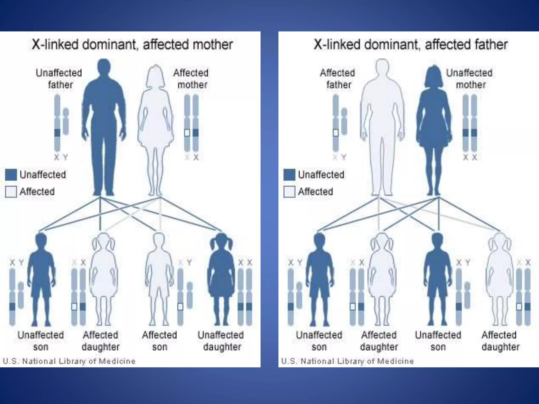 Patterns of Inheritance | PPTX