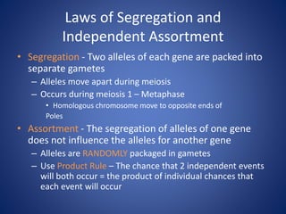 Patterns of Inheritance | PPTX