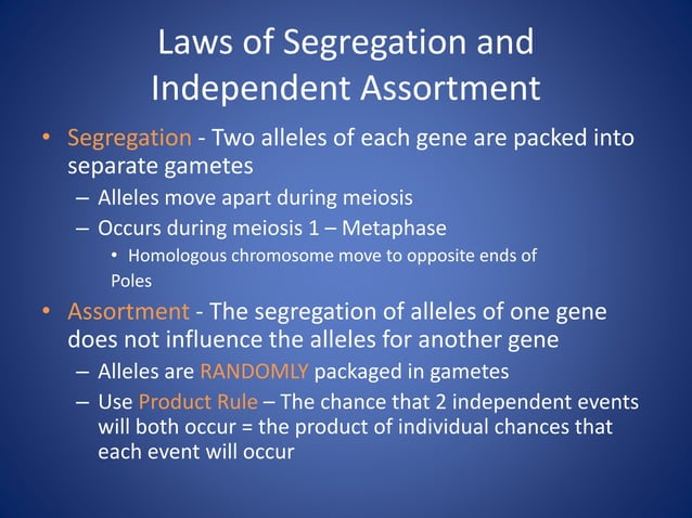 Patterns of Inheritance | PPTX | Genetics | Science