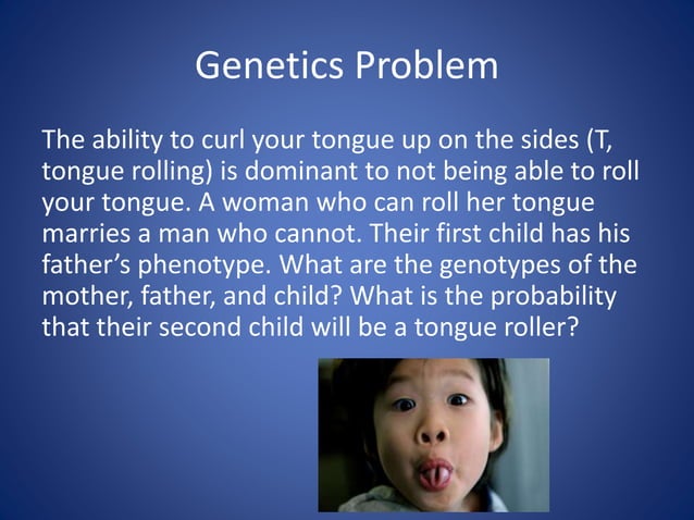 Patterns of Inheritance | PPTX | Genetics | Science