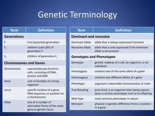 Patterns of Inheritance | PPTX