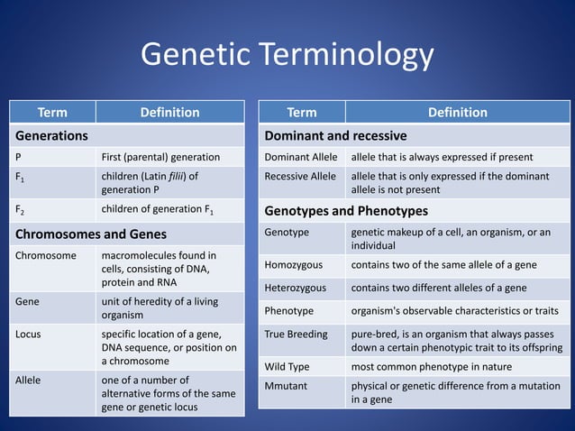 Patterns of Inheritance | PPTX | Genetics | Science