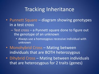 Patterns of Inheritance | PPTX