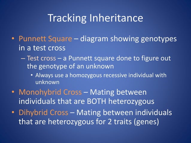 Patterns of Inheritance | PPTX | Genetics | Science