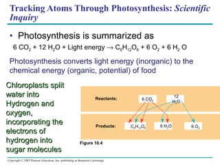 10 photosynthesis text | PPT