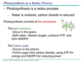 10 photosynthesis text | PPT