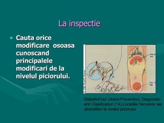 10 Picior | PPT