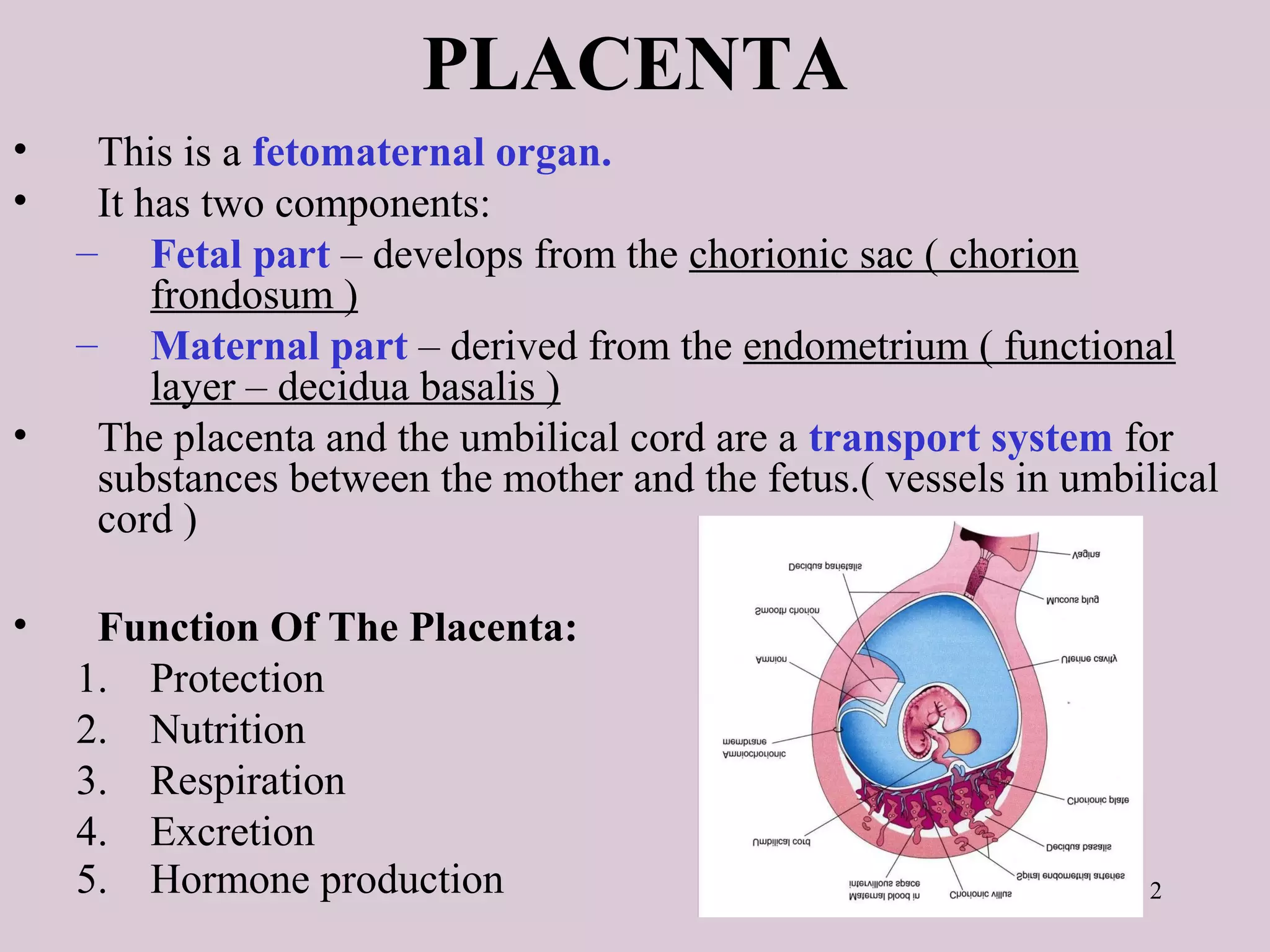 Description of placenta | PPT