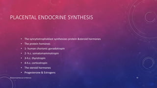 Placenta embryology | PPT