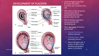 Placenta embryology | PPT