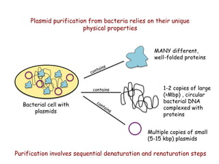 10-Plasmids.pptx