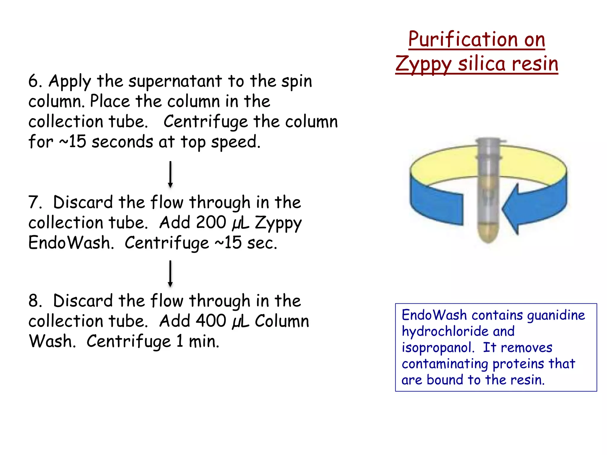 10-Plasmids.pptx
