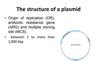 10-Plasmids.pptx