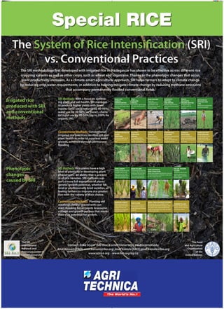 1321 - The System of Rice Intensification vs. Conventional Practices ...