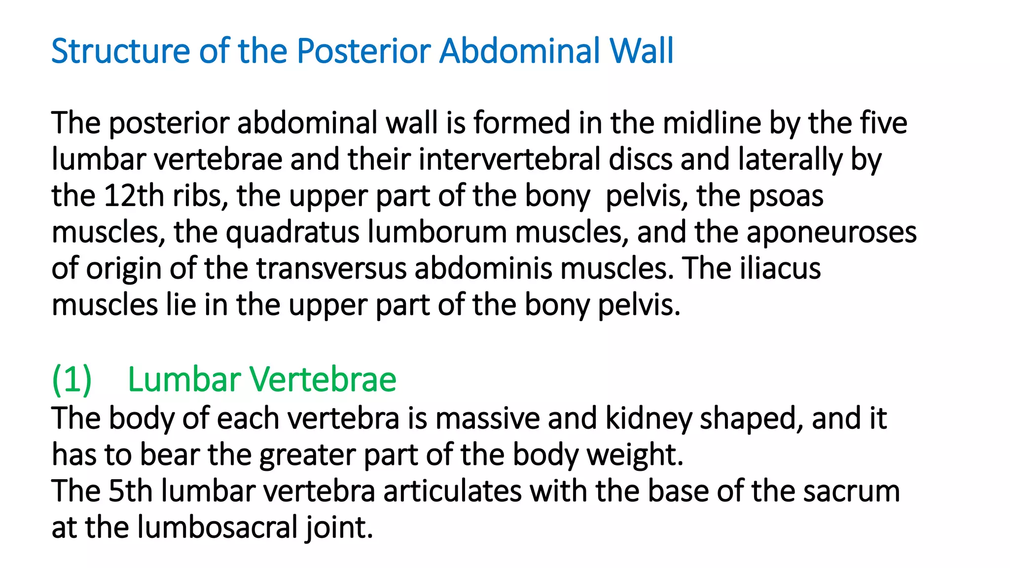 10-Posterior Abdominal Wall.pptx