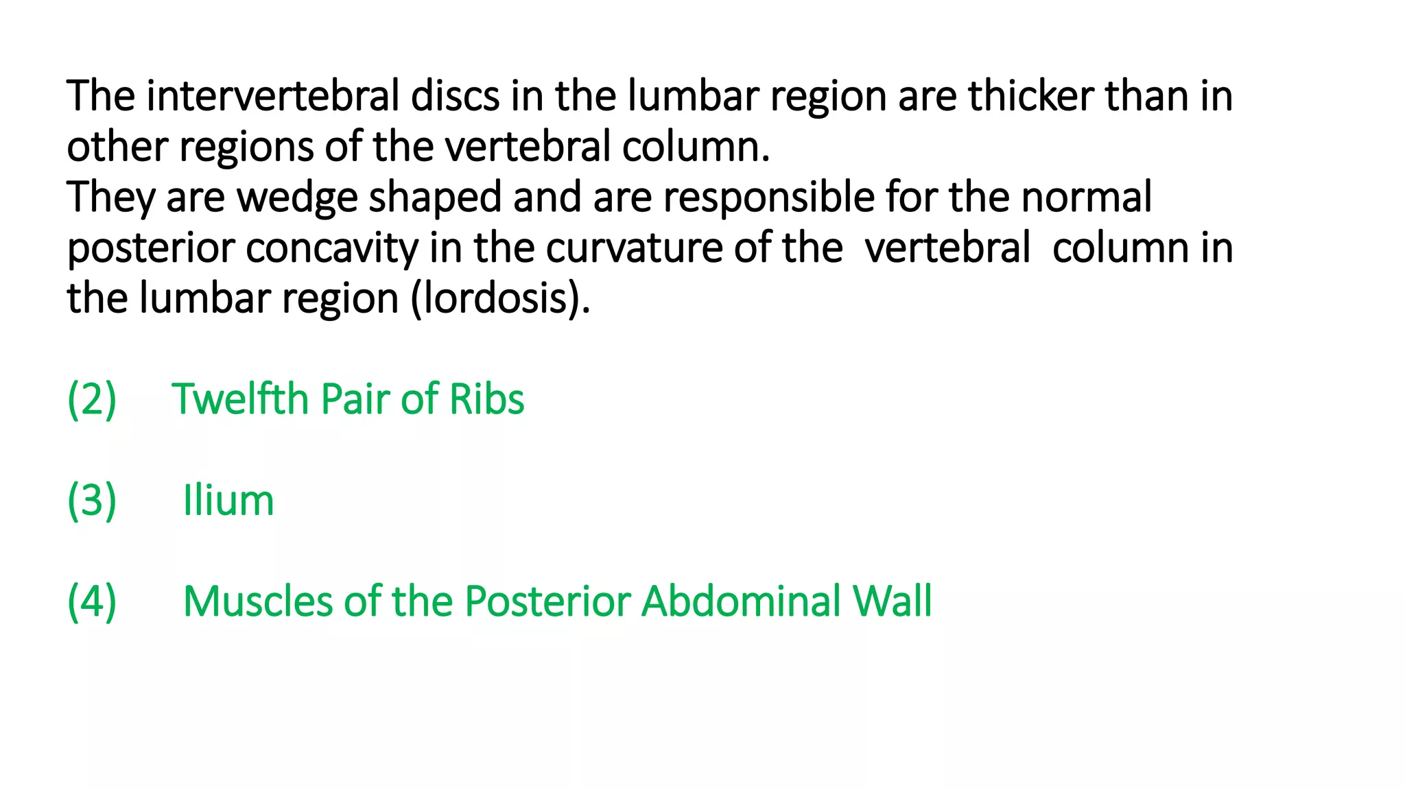10-Posterior Abdominal Wall.pptx
